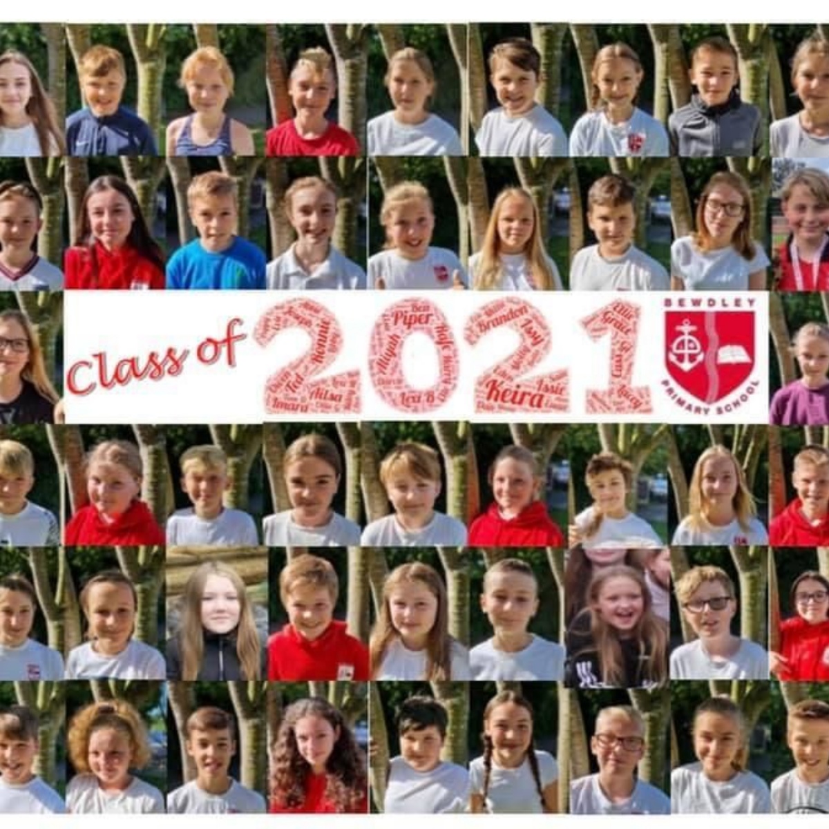 Bewdley Primary School - Our Wonderful Year 6!