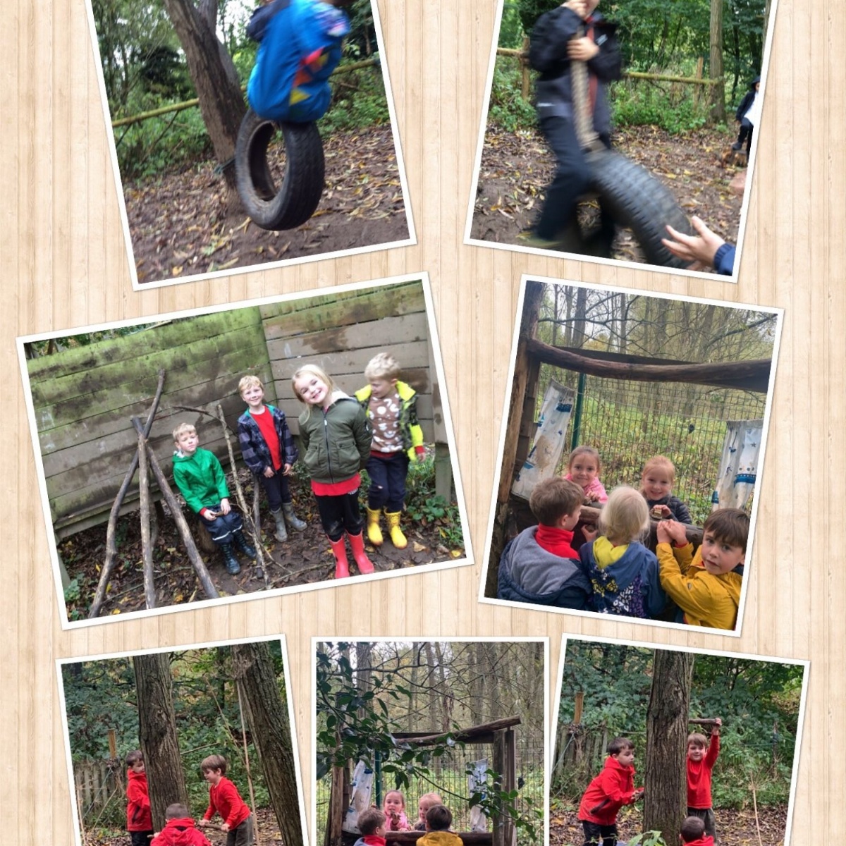 Bewdley Primary School - Year 1 Forest School