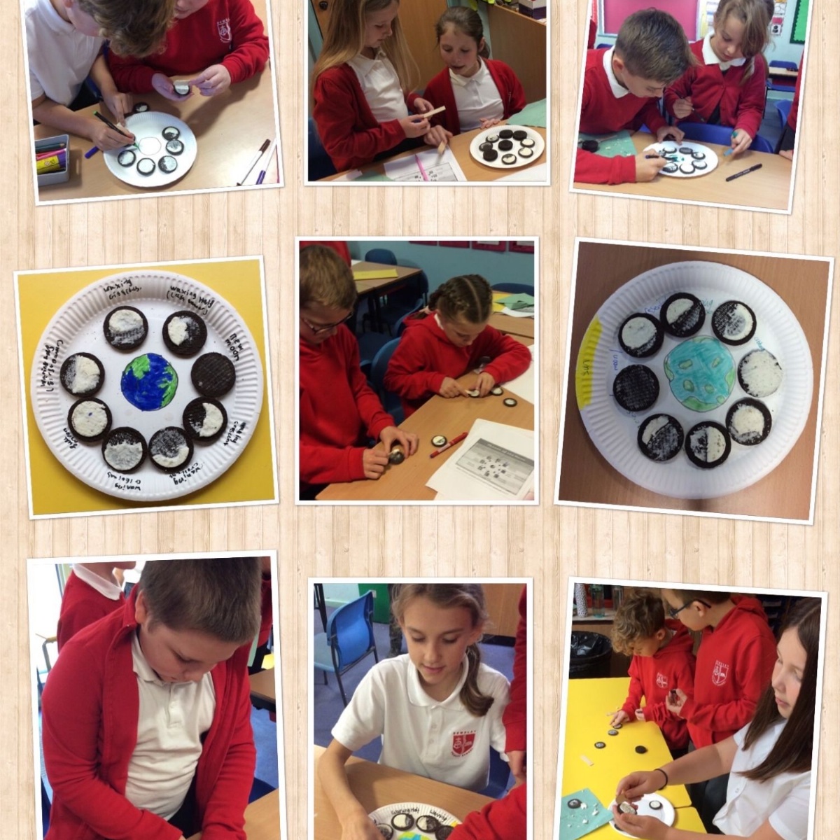 Bewdley Primary School - Year 5 - Science
