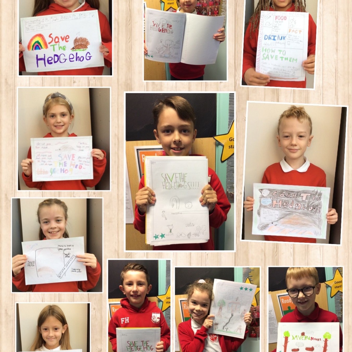 Bewdley Primary School - Year 4 - Science