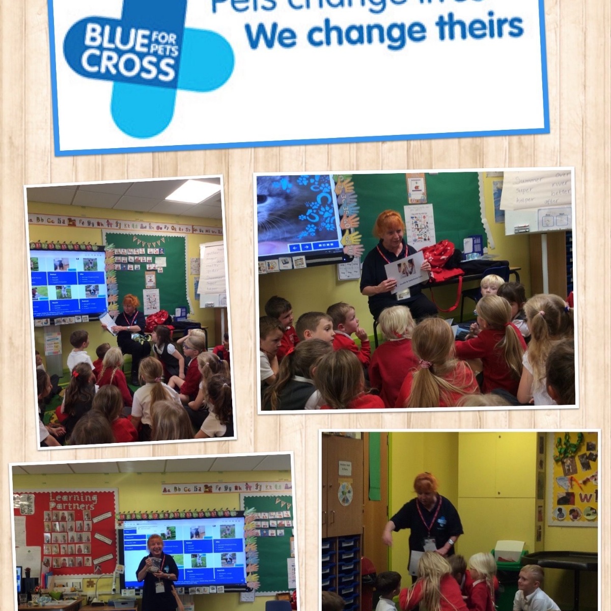 Bewdley Primary School - Year 1 - Pets