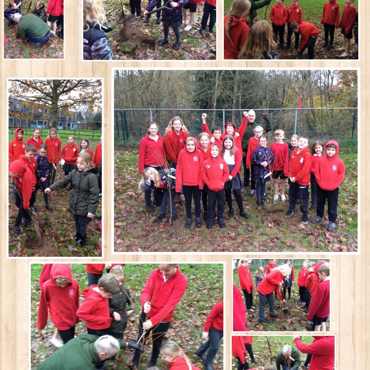Bewdley Primary School - Eco Tree Planting