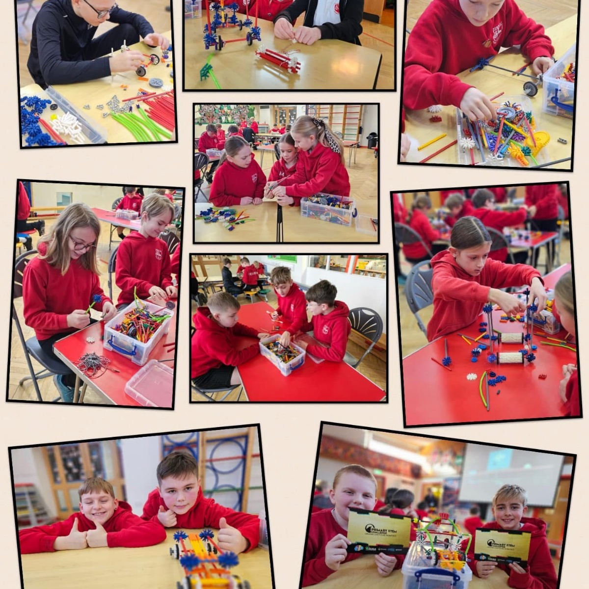 Bewdley Primary School - Yr 6 - STEM Challenge